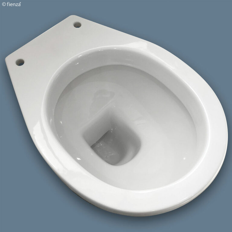 Fienza Stella Senior Toilet - Comfort and Style for Seniors